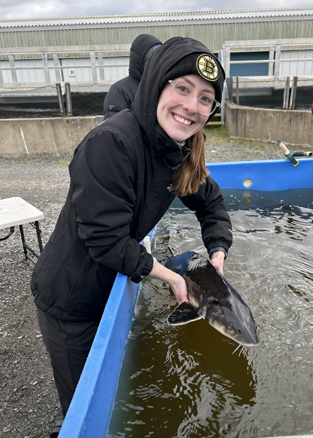 Two Eyes are Better than One: Atlantic Sturgeon Research in the ...